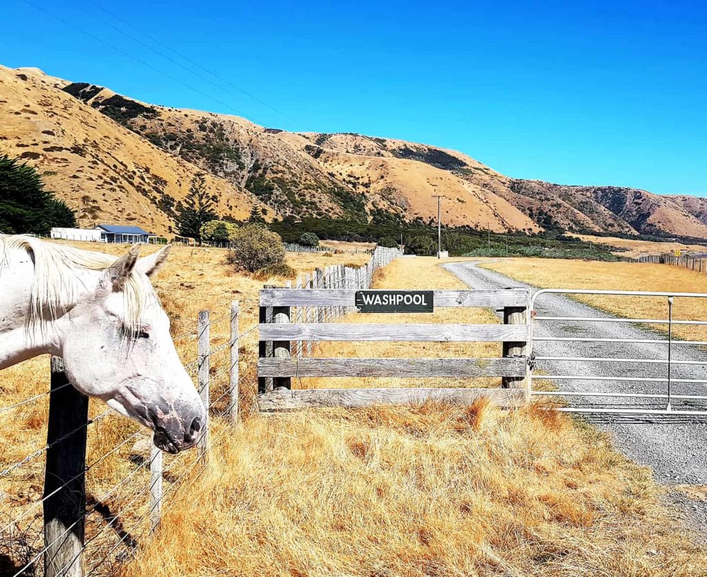 Washpool | Coastal Retreat – Seaside holiday accommodation in New Zealand